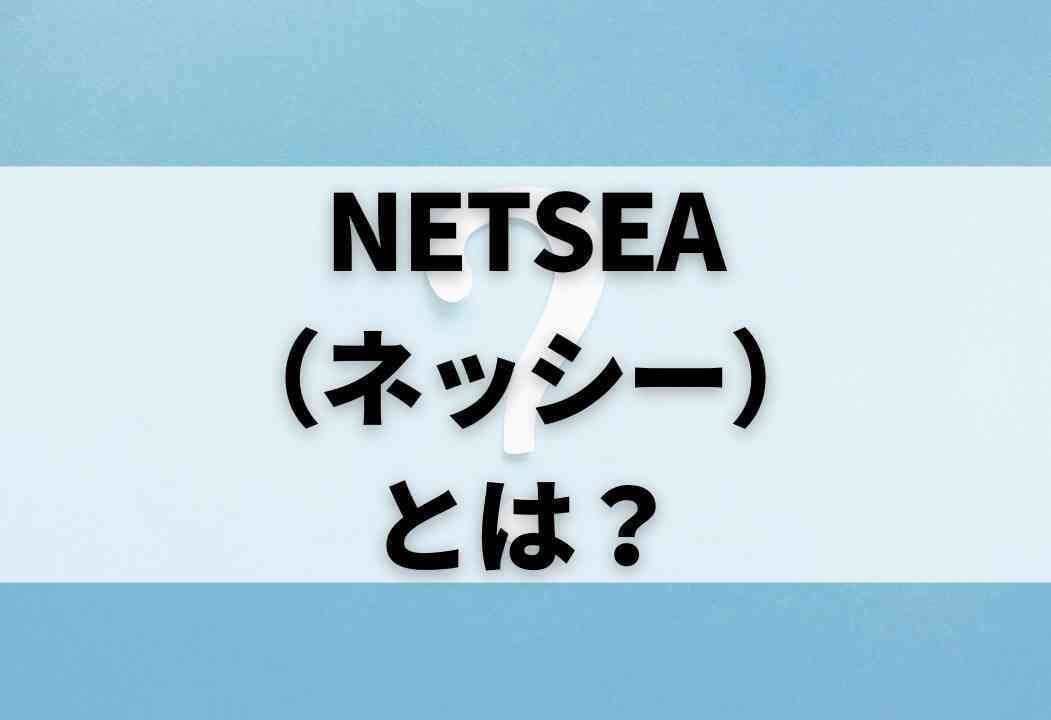 NETSEA（ネッシー）にインタビュー！利用者の評判と仕入れ後の販売戦略を公開