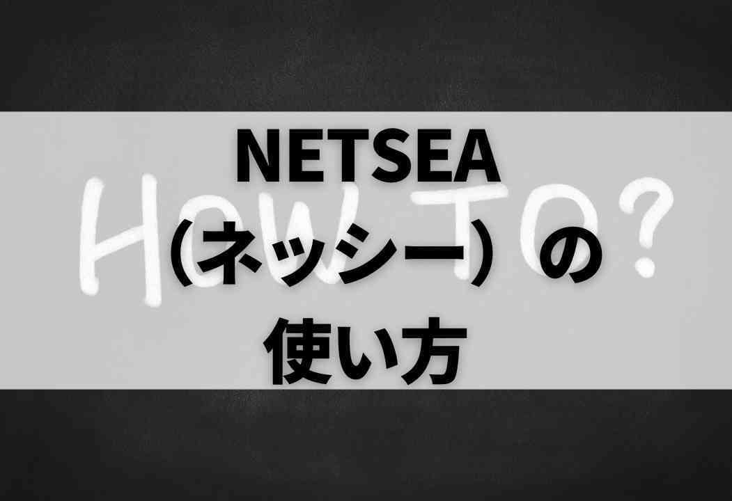 NETSEA（ネッシー）にインタビュー！利用者の評判と仕入れ後の販売戦略を公開